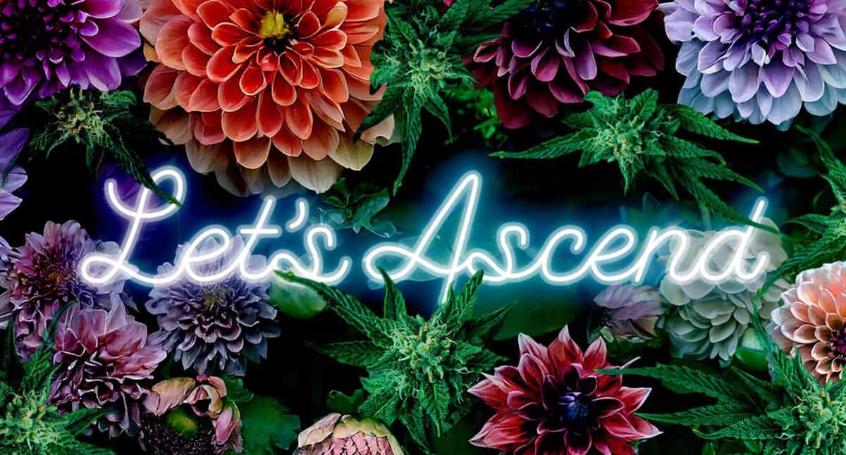 Ascend Cannabis: Recreational & Medical Marijuana Dispensaries